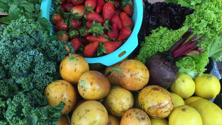 Session Groceries: Making Farm-to-Table a Reality For Us – Mark x Abi