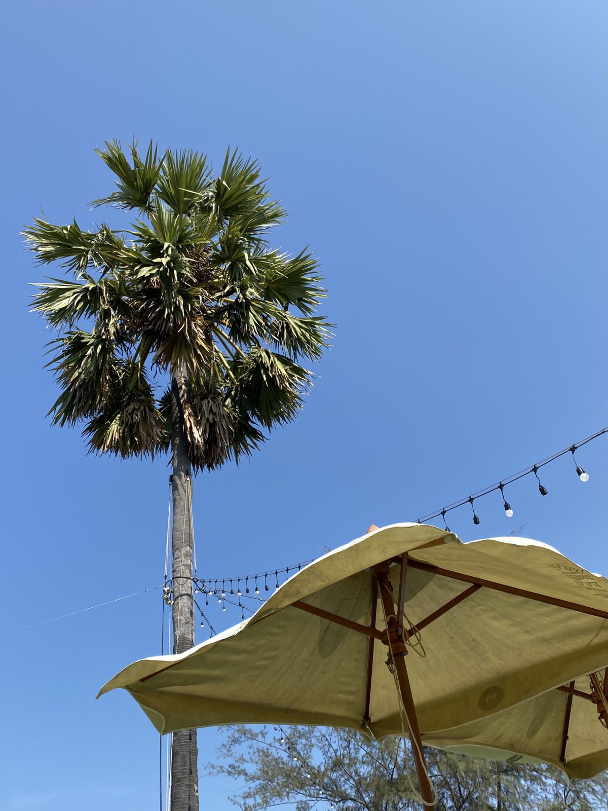 A Cafe with a Beach View: Eureka Beach Cafe in Hua Hin – Mark x Abi