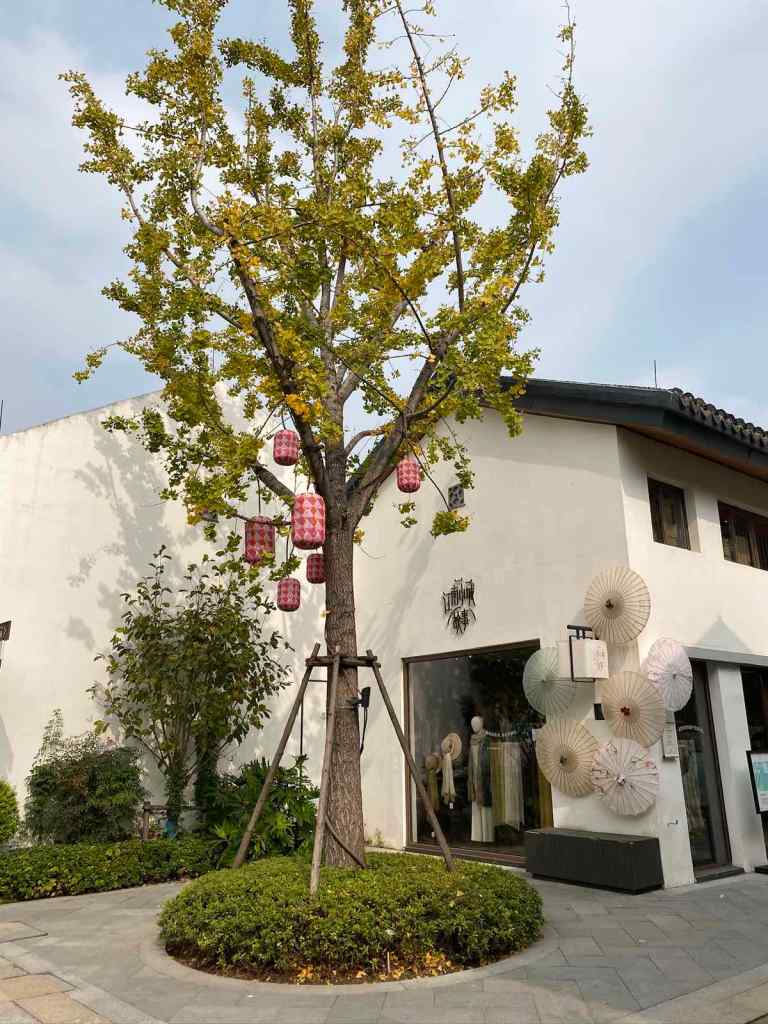 Family-Friendly Must-Visit Tourist Attraction in Shanghai: Panlong Town ...